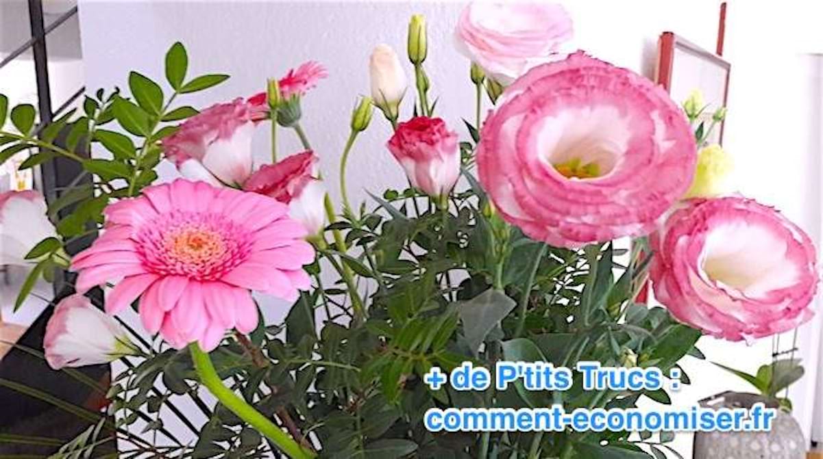 Fleurs Coupées : Comment les Conserver le Plus Longtemps Possible