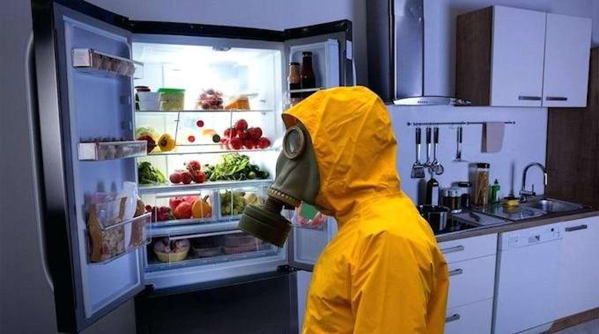 Fini Le Frigo Qui Pue Avec Ce Truc Simple Et Efficace