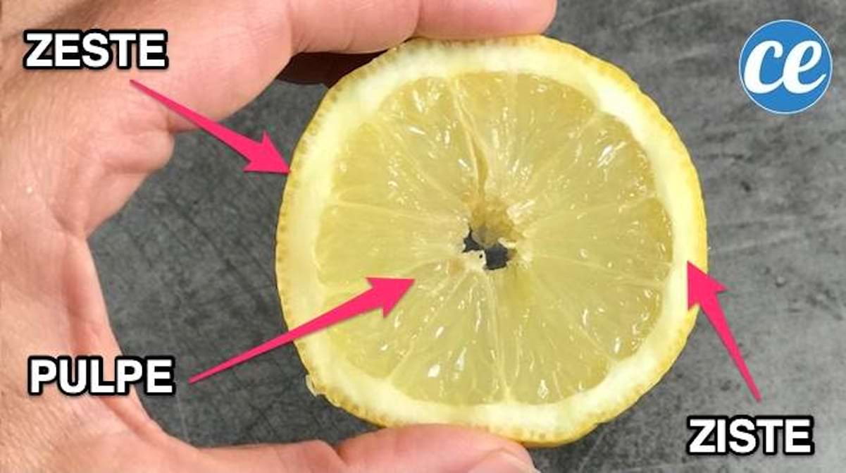 Dans Le Citron Tout est Bon ! Toutes Les Utilisations Que Vous Devriez ...