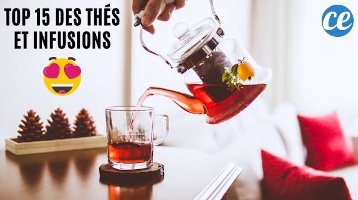 Les 15 Meilleurs Thés & Infusions Pour La Santé.