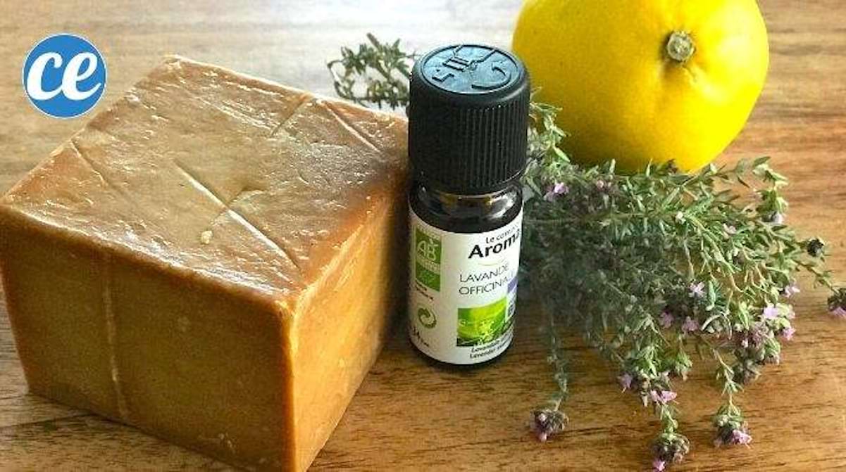 10 Super Recettes de Savon (Faciles & Rapides à Faire à la Maison).