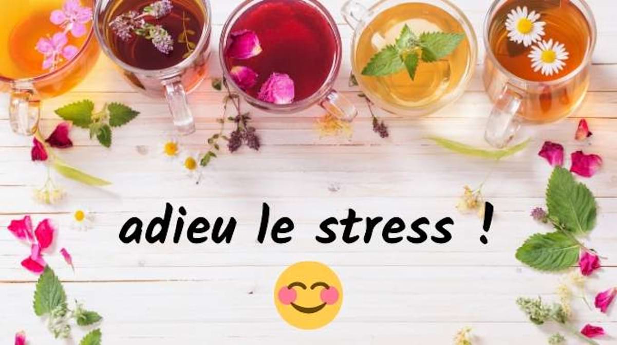 5 Tisanes Miracles Pour Dire Adieu au Stress Et à l'Anxiété.