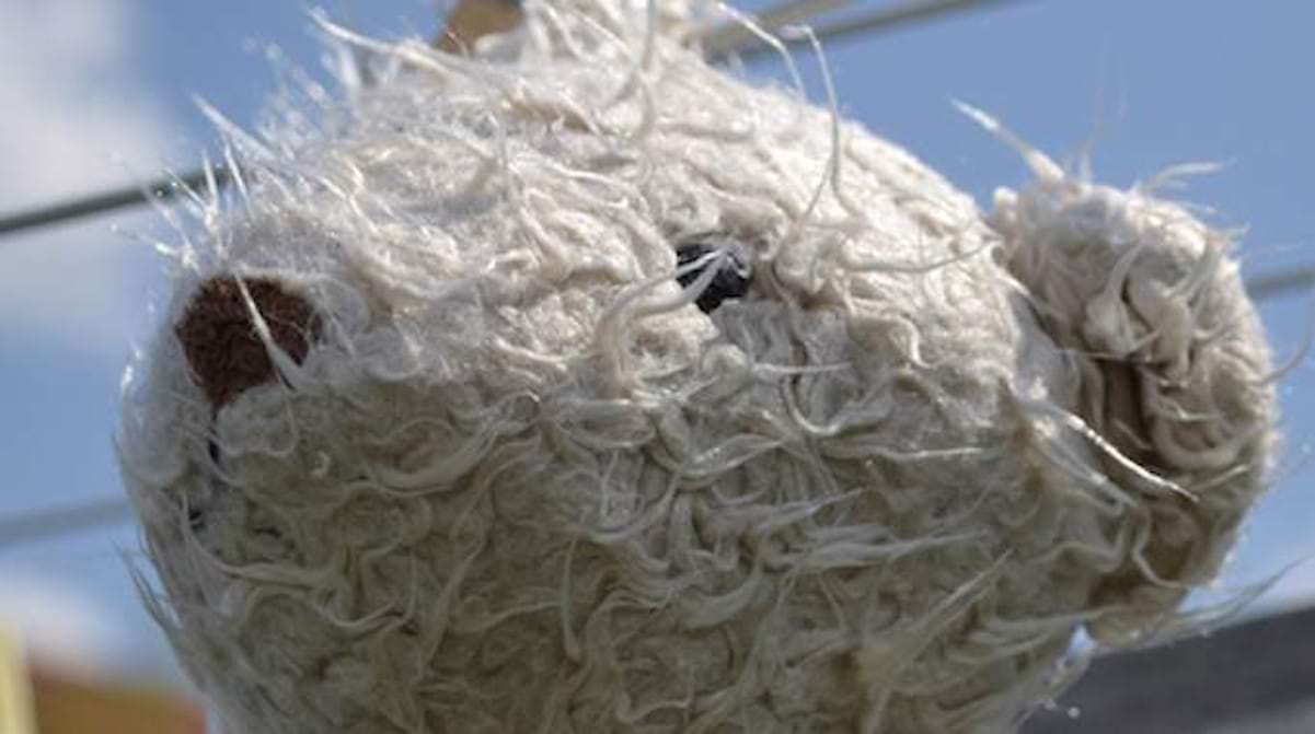 Comment éliminer les acariens sur les peluches des enfants ? Notre ...